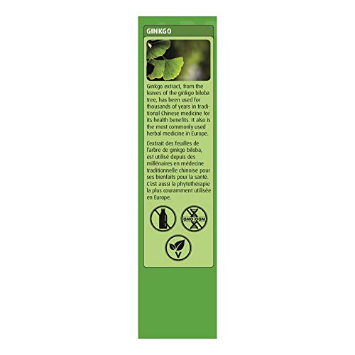 ginkgo biloba benefits for overall wellness