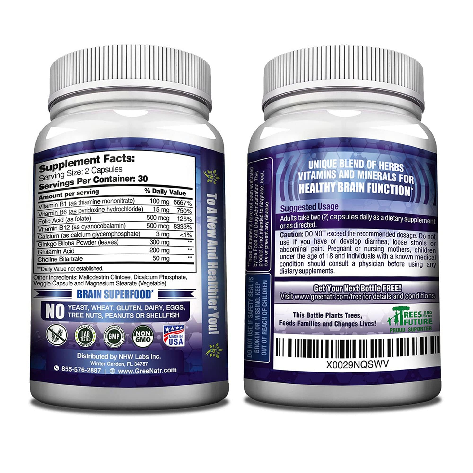 Ginkgo biloba benefits for overall wellness