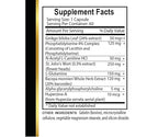 ginkgo biloba benefits for overall wellness