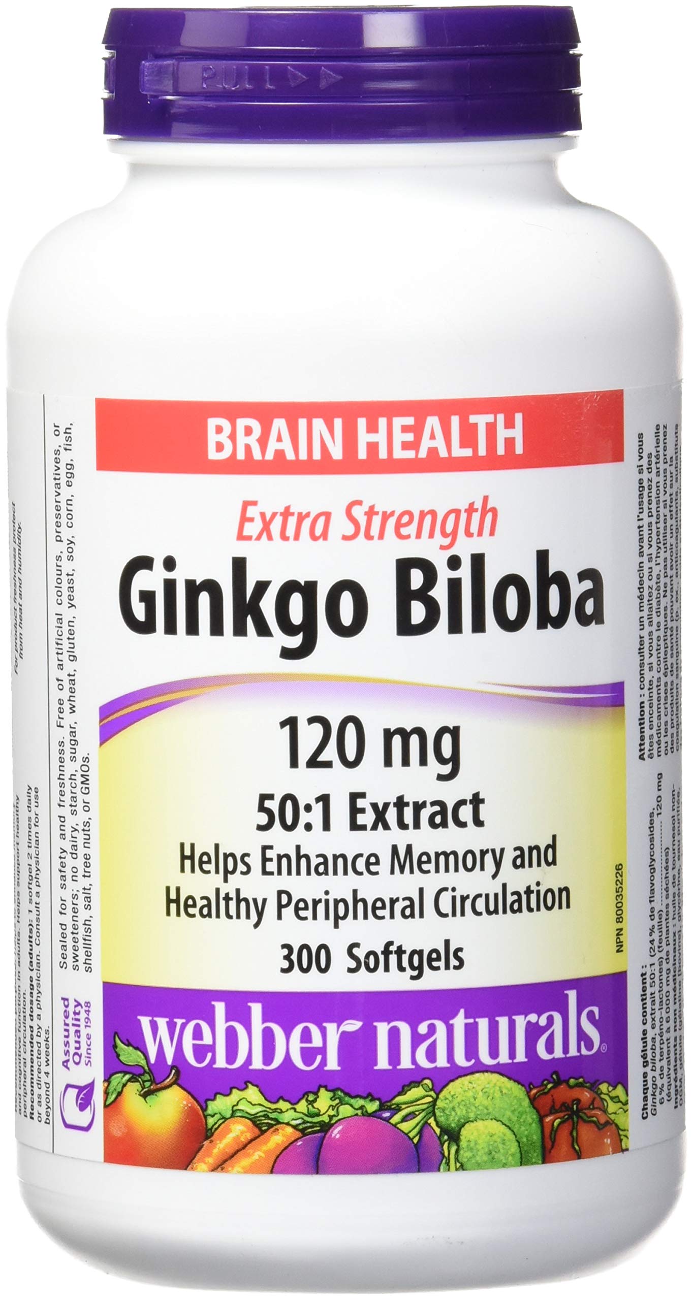 ginkgo biloba benefits for overall wellness