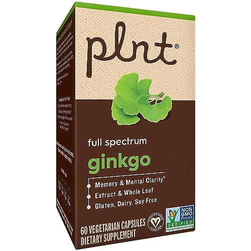 ginkgo biloba benefits for overall wellness