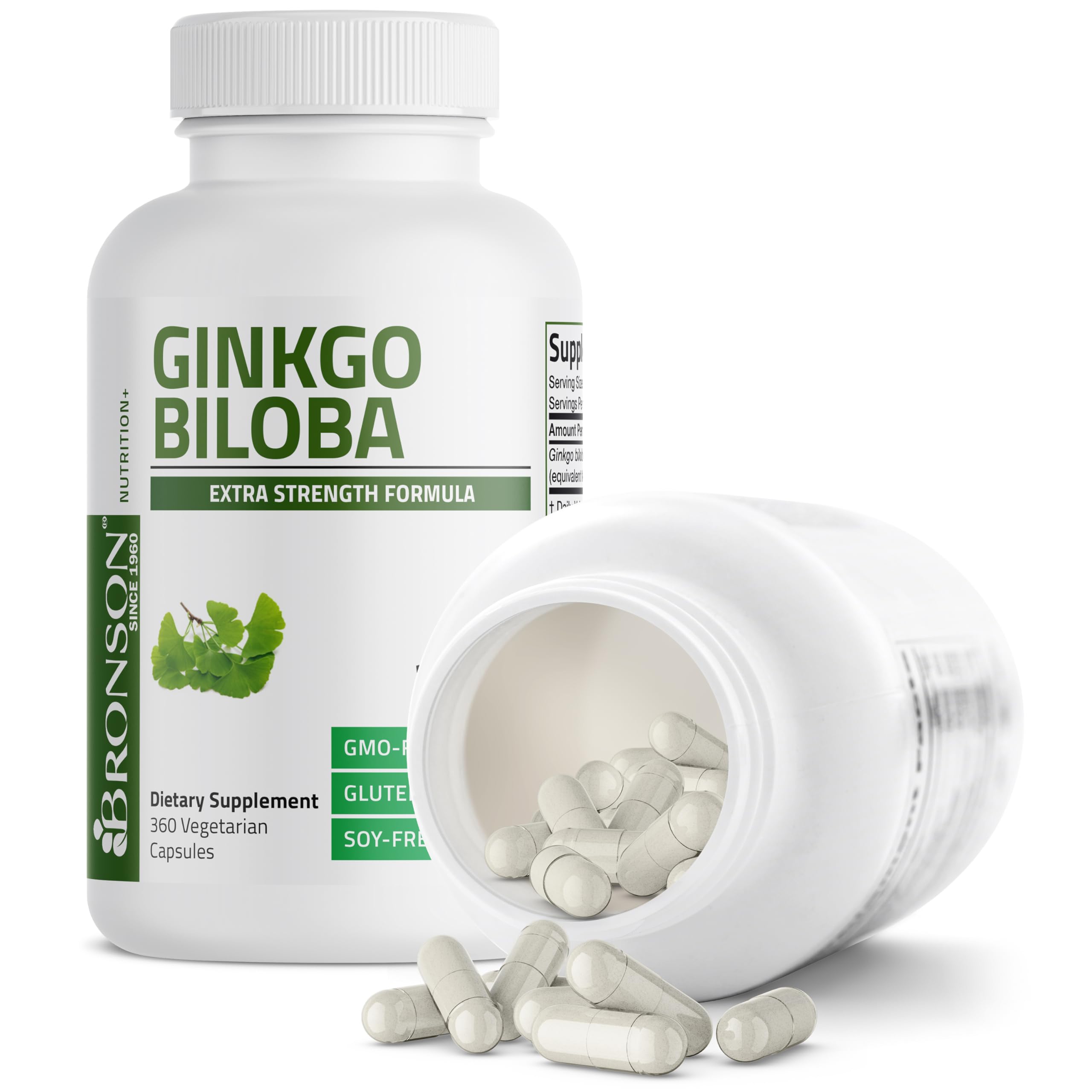 Ginkgo biloba benefits for seniors
