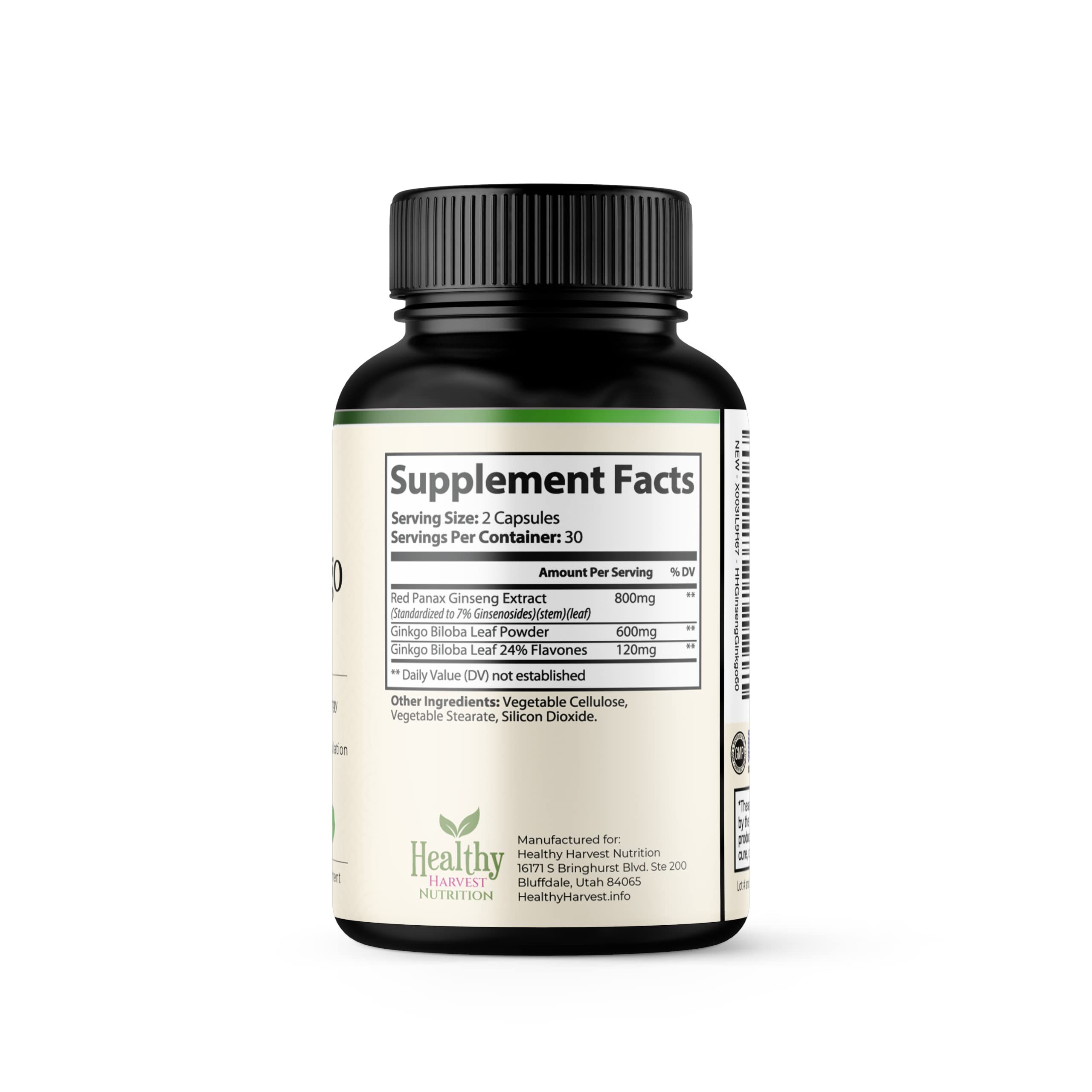 ginkgo biloba benefits for seniors
