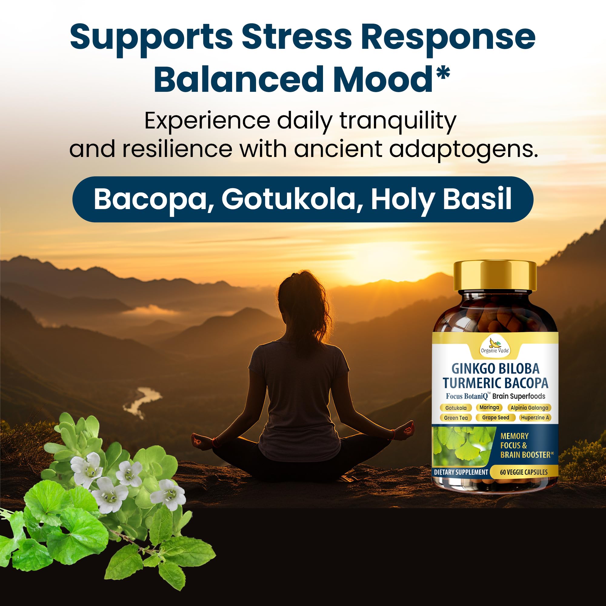 Ginkgo biloba benefits for women’s health