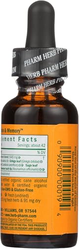 ginkgo biloba benefits for women