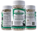 ginkgo biloba brain booster capsules