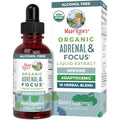 ginkgo biloba brain focus supplement