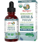 ginkgo biloba brain focus supplement