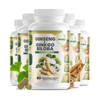 ginkgo biloba brain health support
