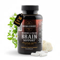 ginkgo biloba brain health support