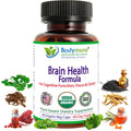 ginkgo biloba brain health support