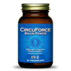 ginkgo biloba brain power supplement