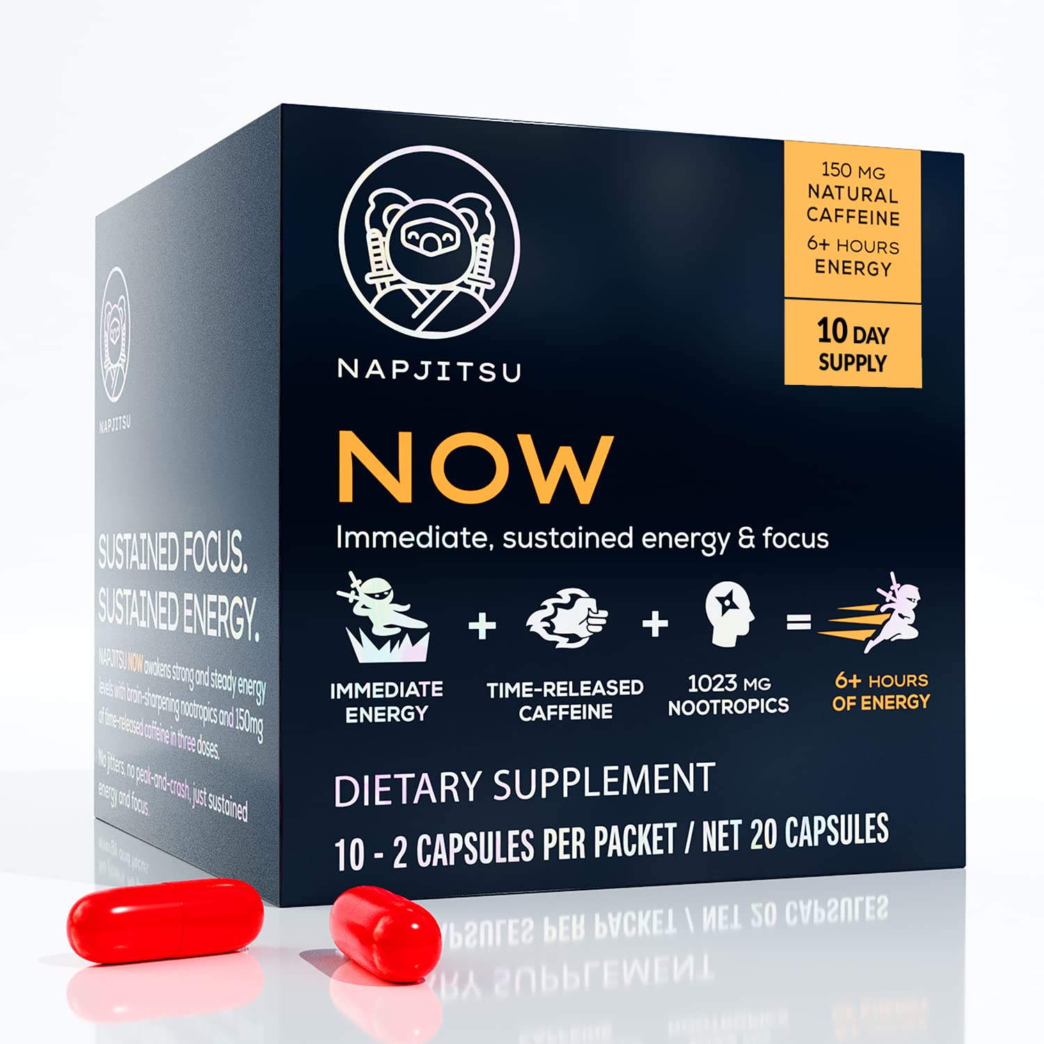 ginkgo biloba brain support supplement
