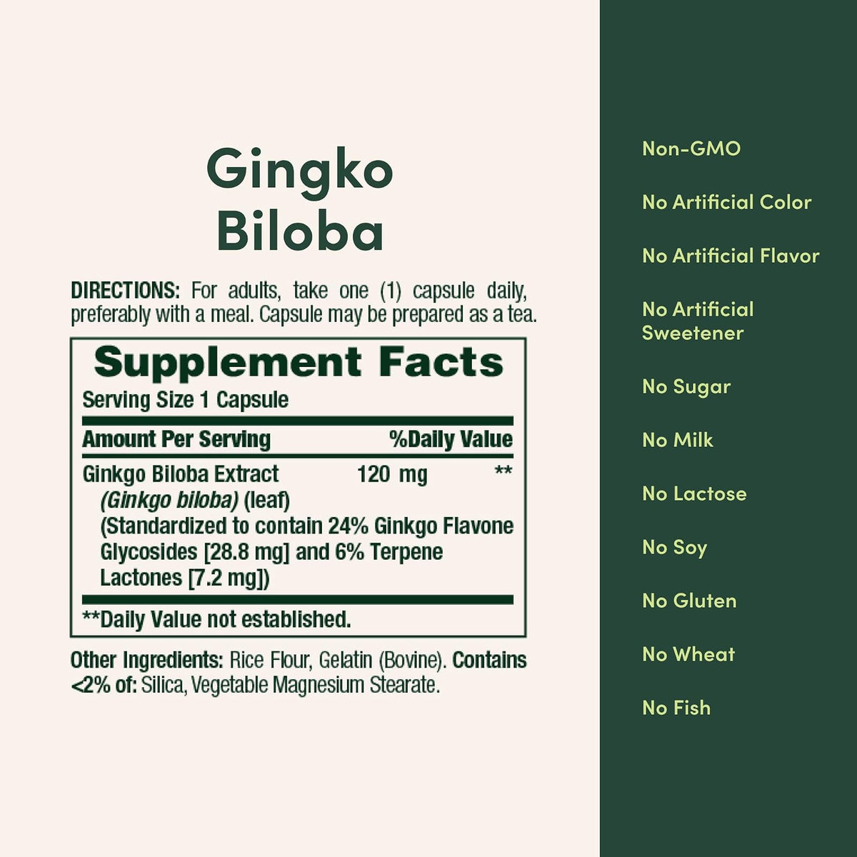 Ginkgo Biloba capsules for better focus