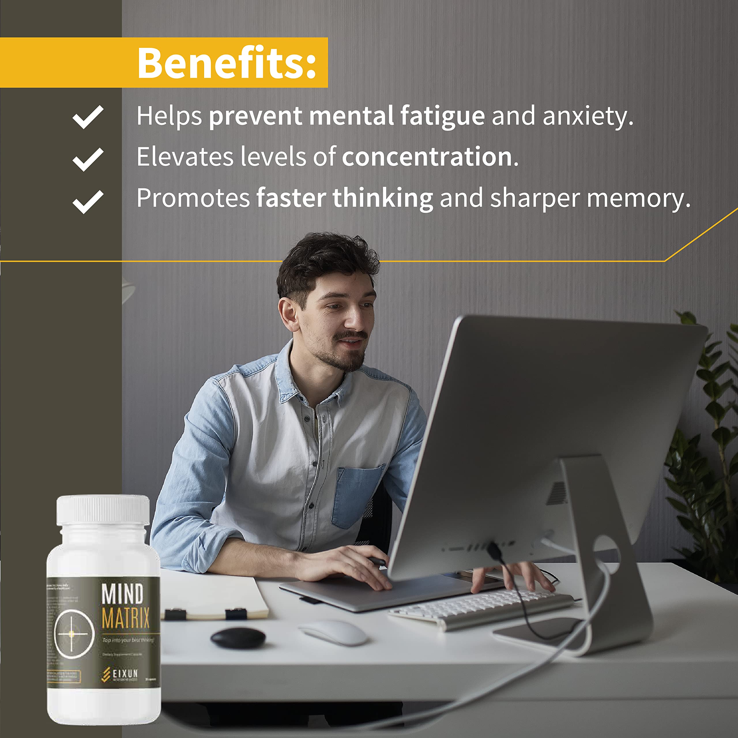 ginkgo biloba capsules for cognitive function