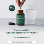 ginkgo biloba capsules for cognitive support