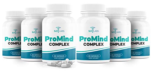 ginkgo biloba capsules for cognitive support