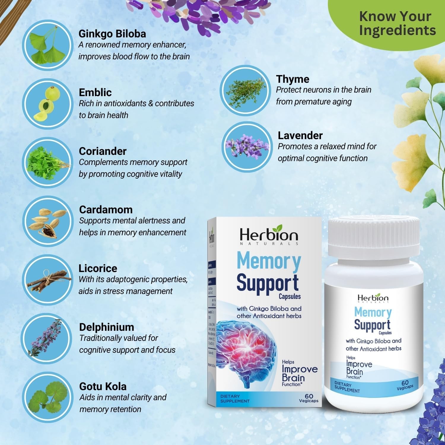 ginkgo biloba capsules for daily use