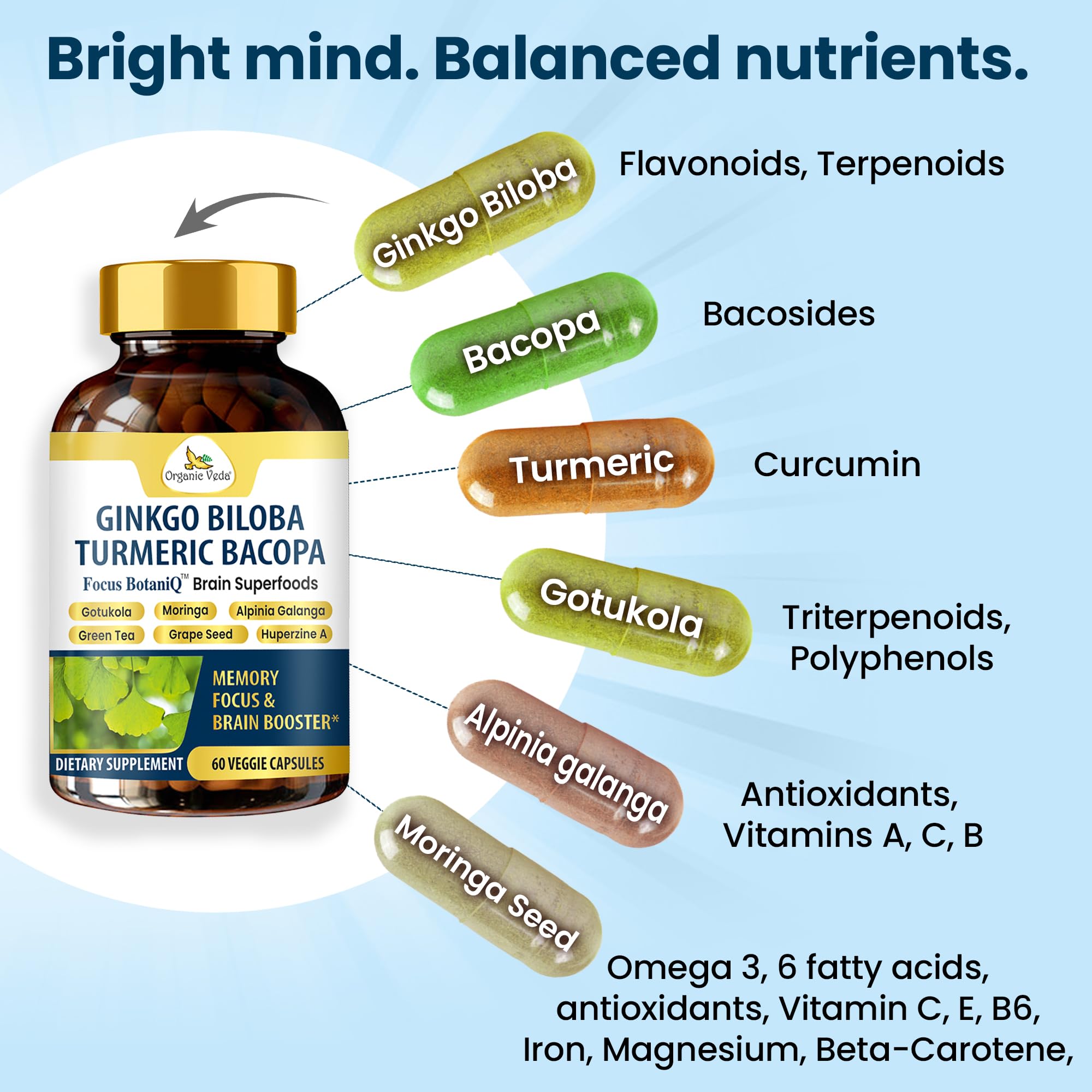 Ginkgo biloba capsules for daily use