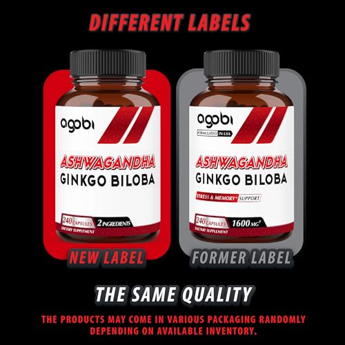 Ginkgo biloba capsules for daily wellness