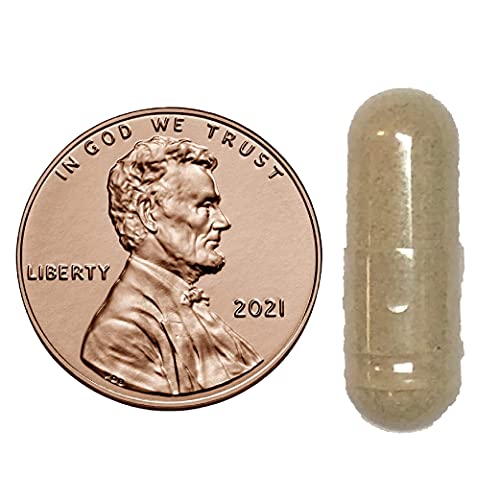 ginkgo biloba capsules for daily wellness