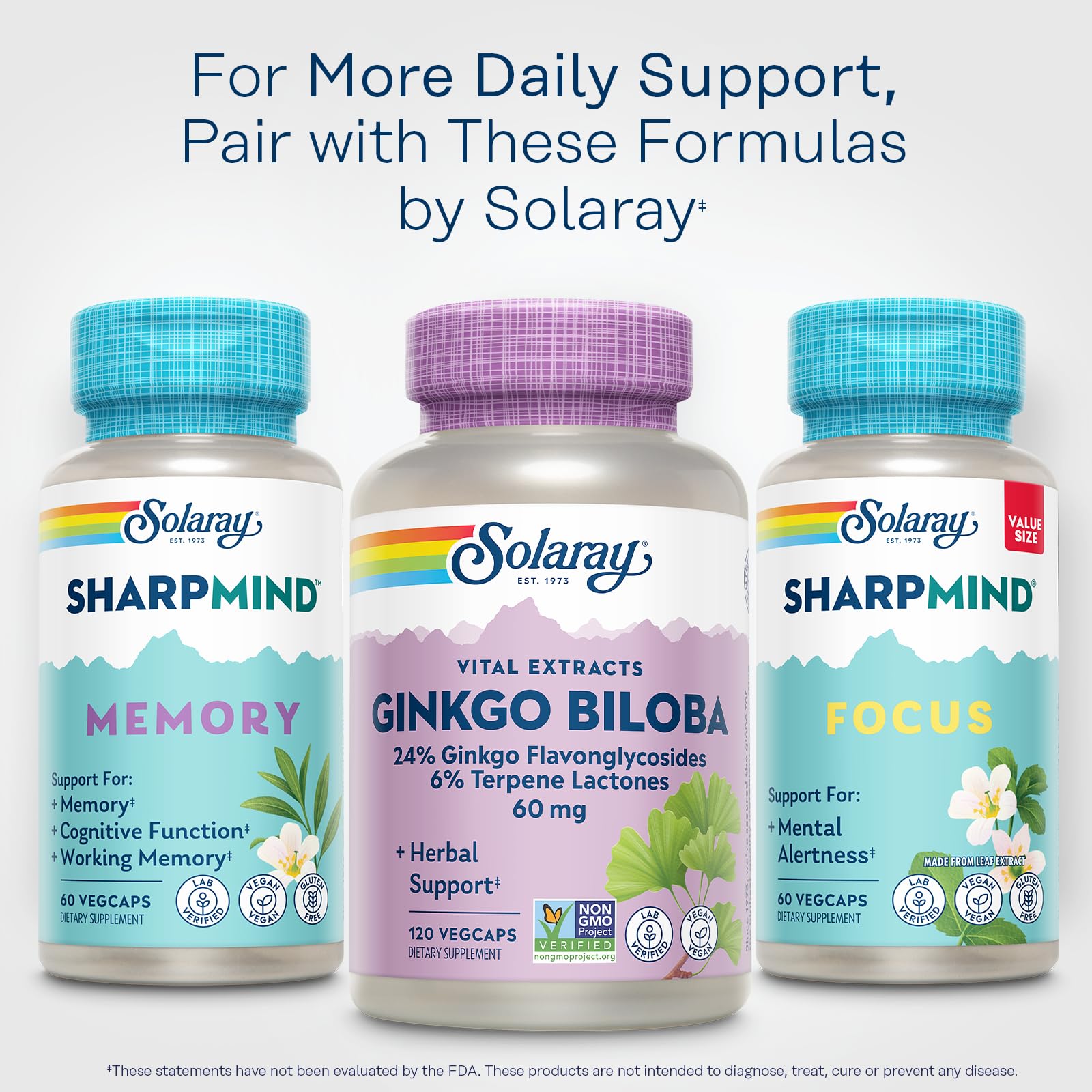 ginkgo biloba capsules for energy