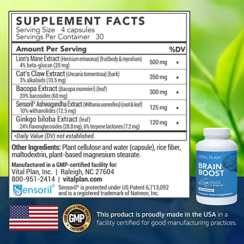 ginkgo biloba capsules for focus