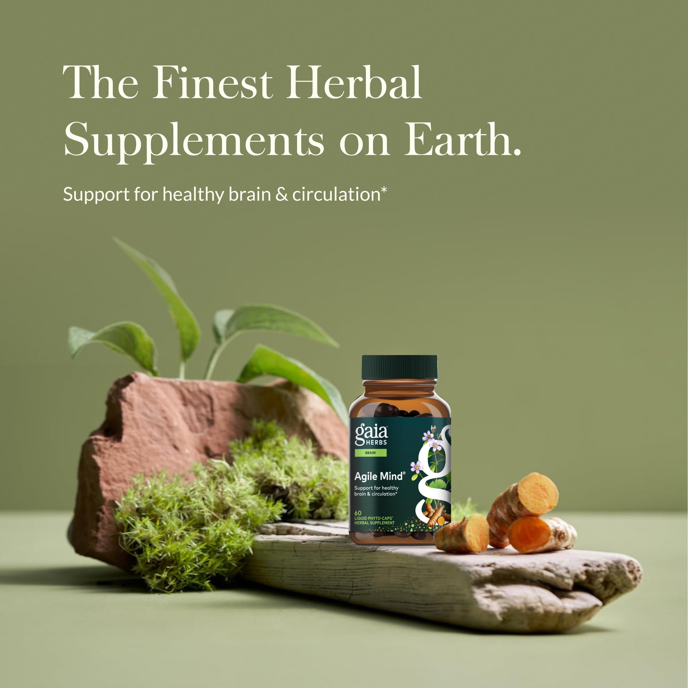 Ginkgo Biloba capsules for focus