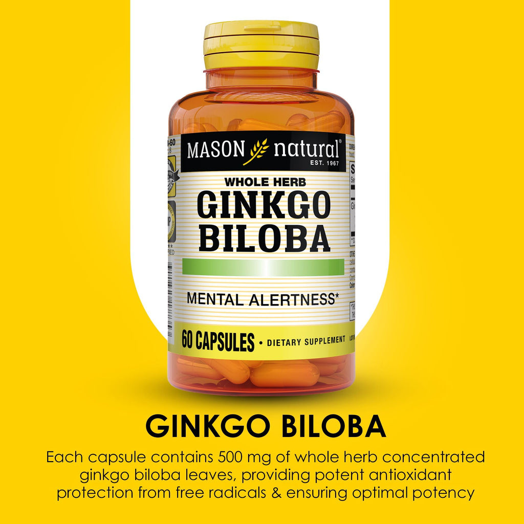 Ginkgo Biloba capsules for improved concentration