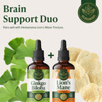 Ginkgo Biloba capsules for improved focus