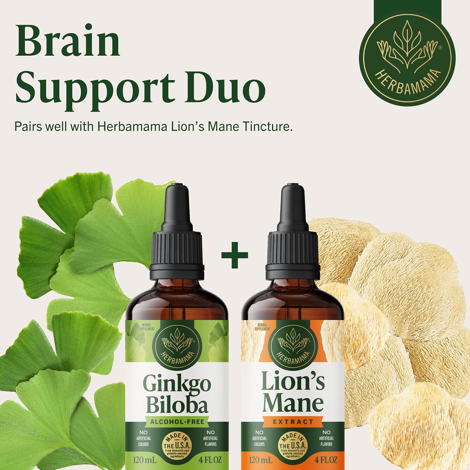 Ginkgo Biloba capsules for improved focus