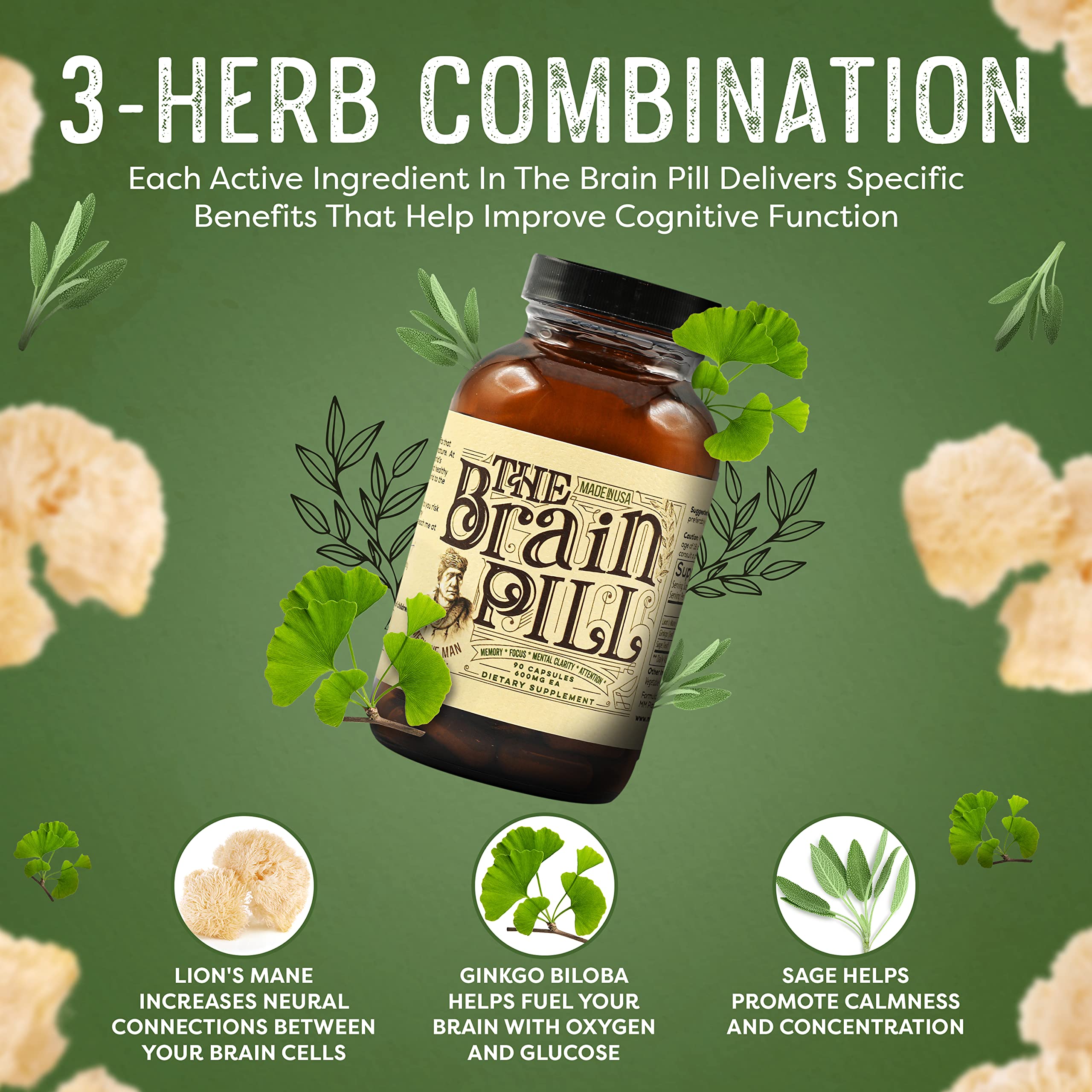 ginkgo biloba capsules for improved memory