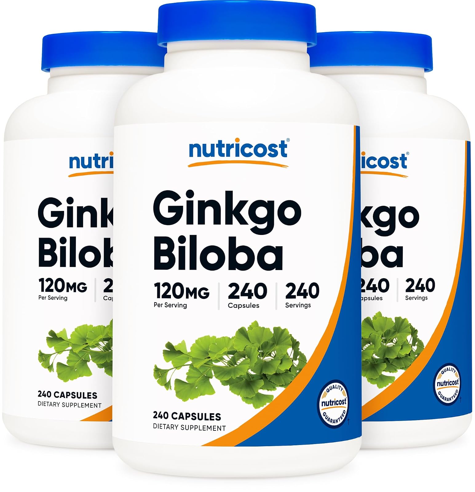 ginkgo biloba capsules for memory support
