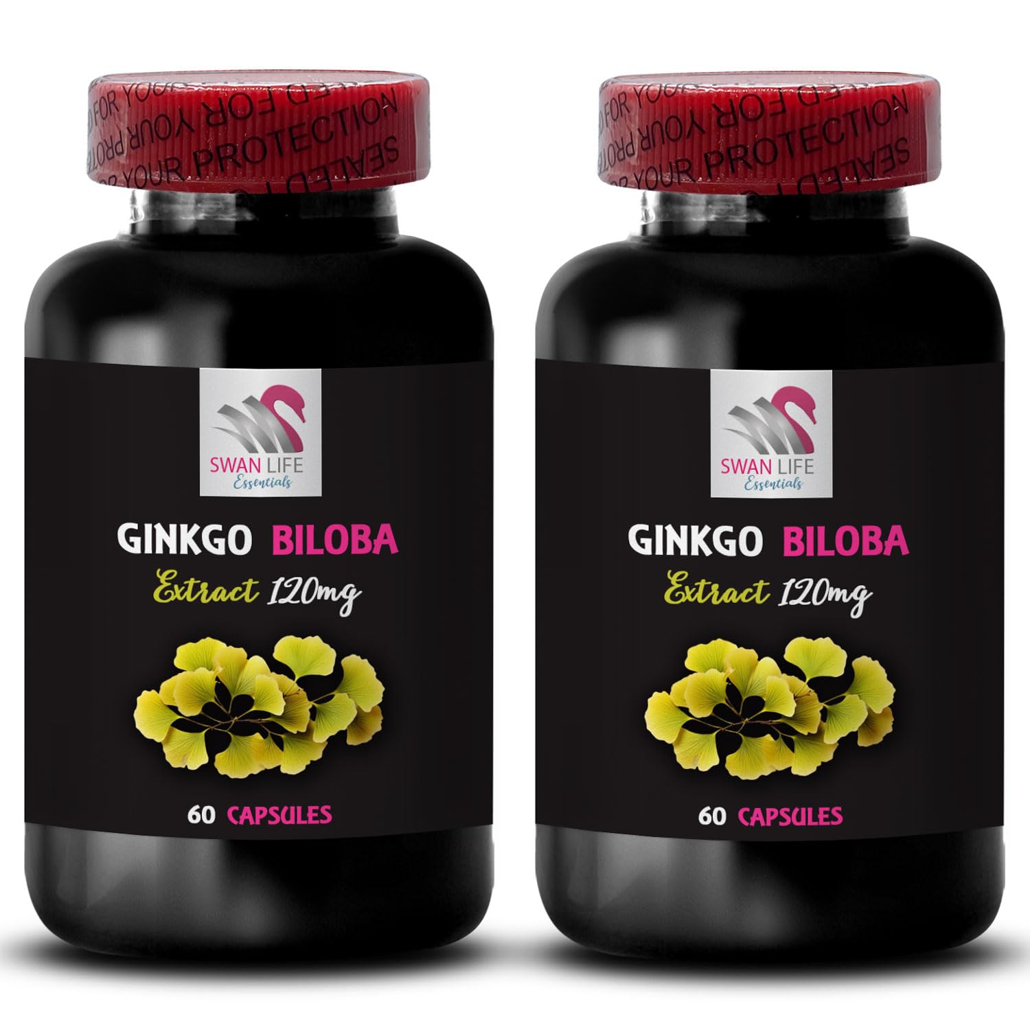 ginkgo biloba capsules for memory support