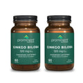 ginkgo biloba capsules for memory
