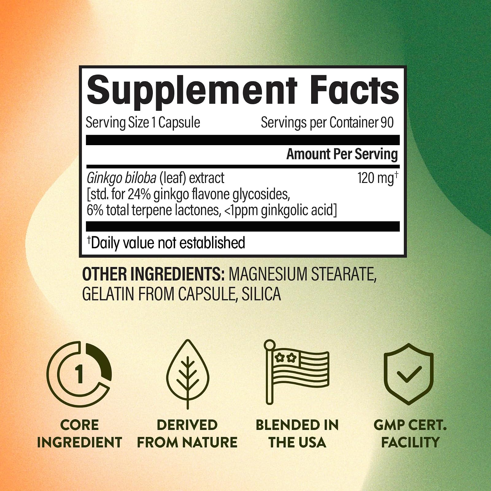 Ginkgo Biloba capsules for memory