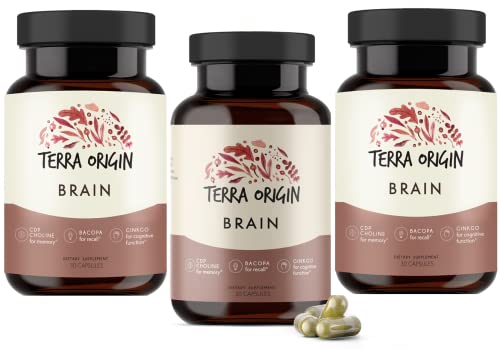 ginkgo biloba capsules for memory