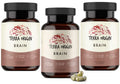 ginkgo biloba capsules for memory