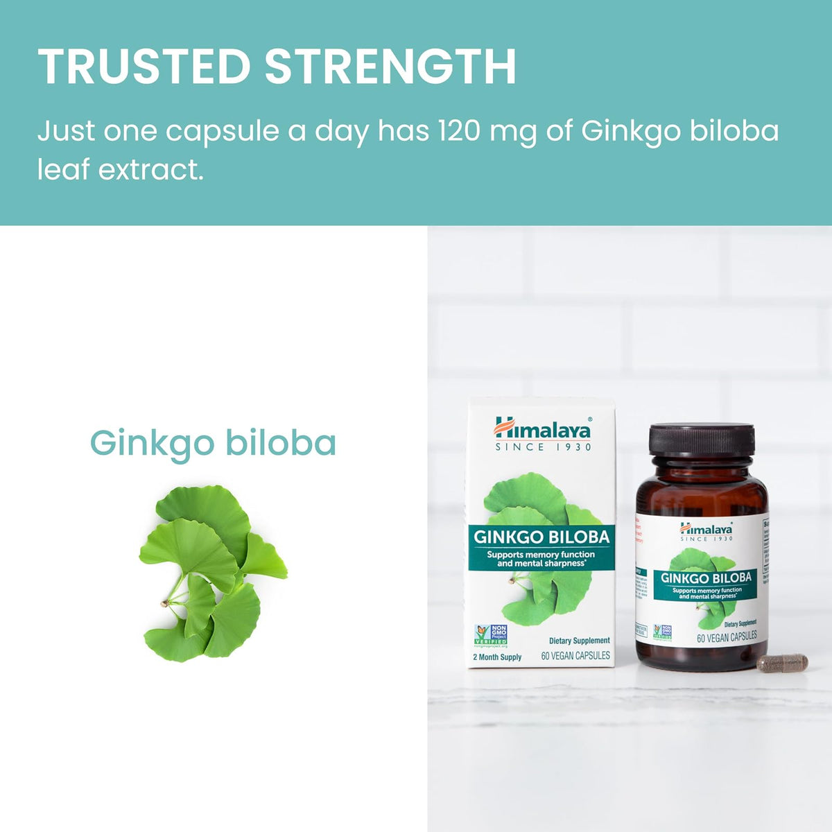 ginkgo biloba capsules for mental clarity