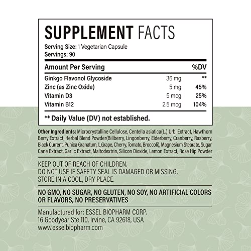 ginkgo biloba capsules for tinnitus relief