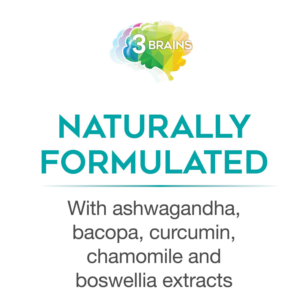 ginkgo biloba capsules for tinnitus relief