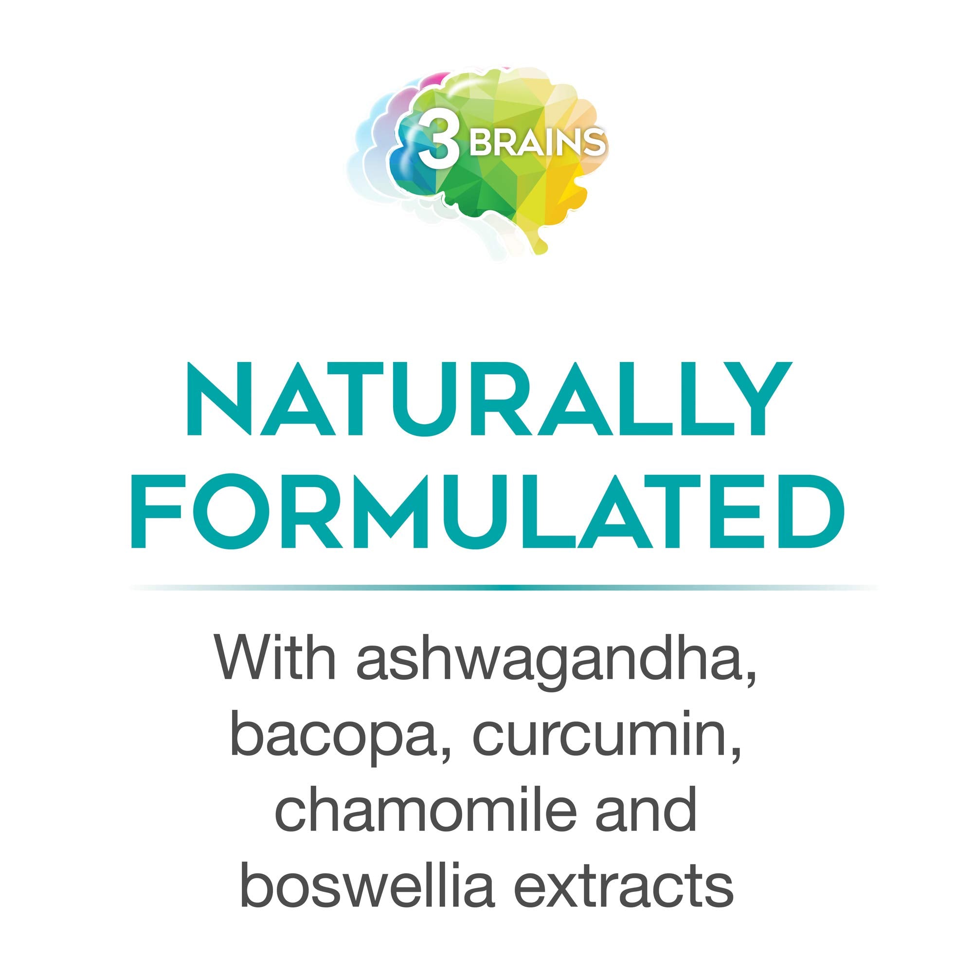 ginkgo biloba capsules for tinnitus relief