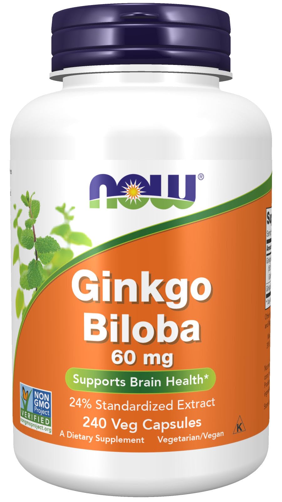 ginkgo biloba cognitive enhancement capsules