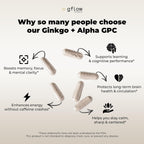 ginkgo biloba complex for mental clarity