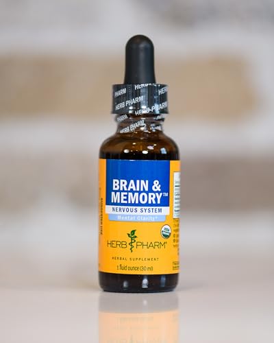 ginkgo biloba contraindications to consider