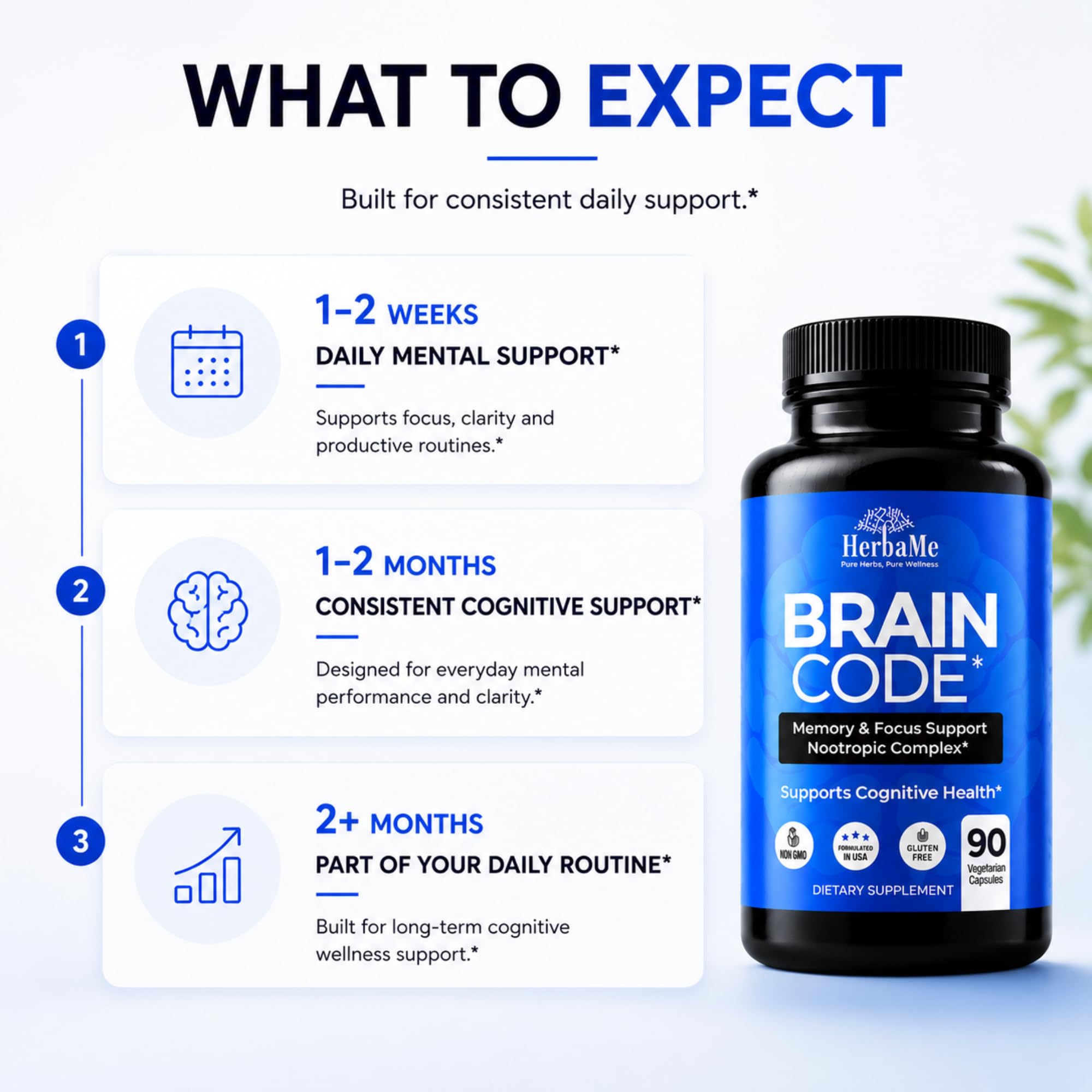 ginkgo biloba contraindications to consider