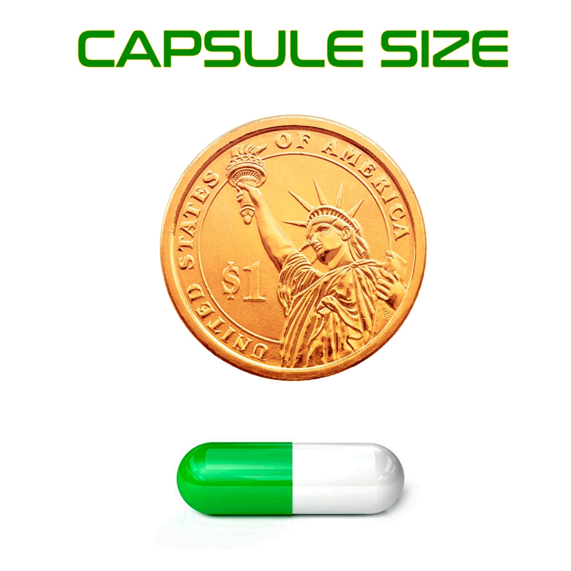ginkgo biloba contraindications to consider