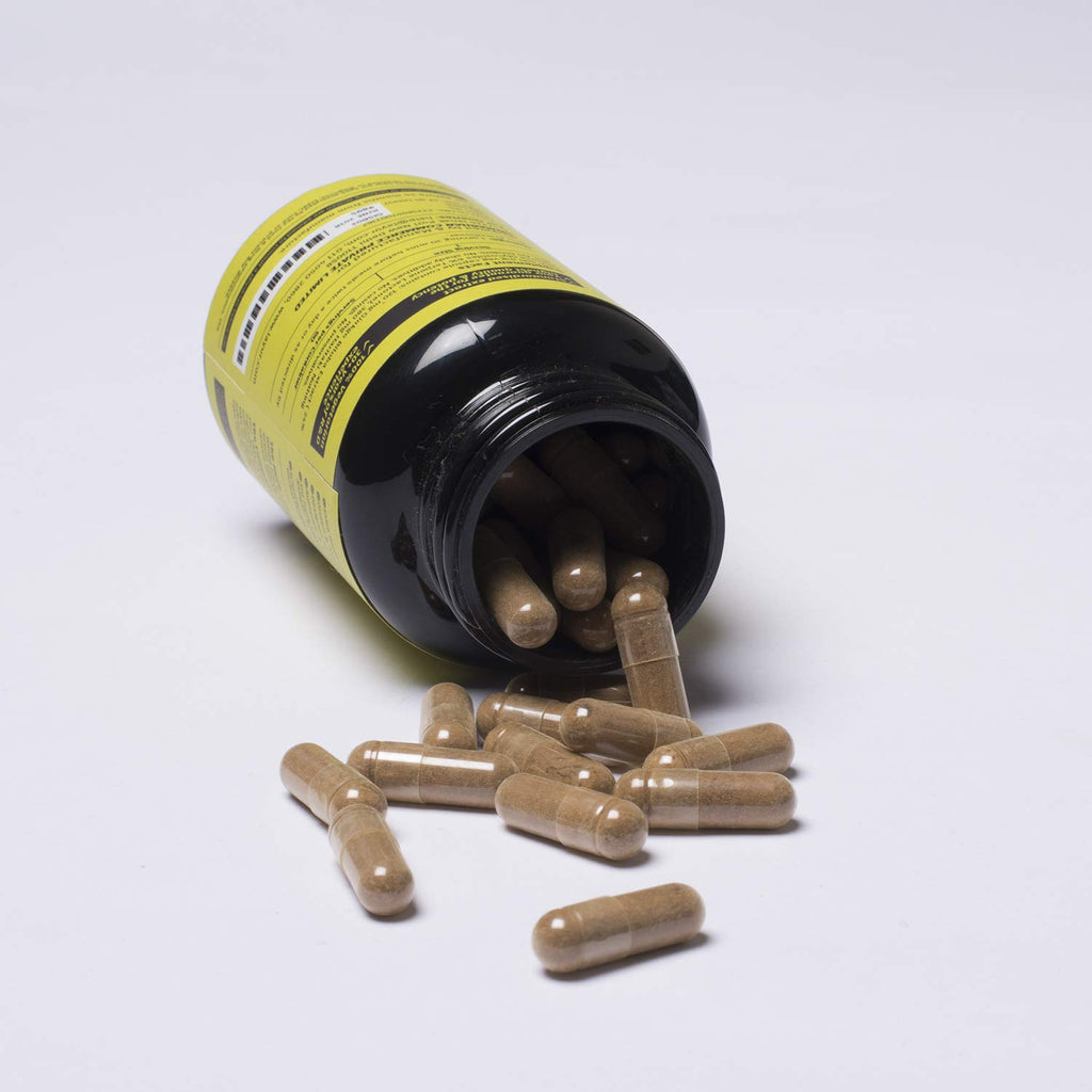 ginkgo biloba contraindications to consider