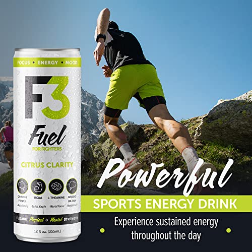 Ginkgo biloba energy drink for focus