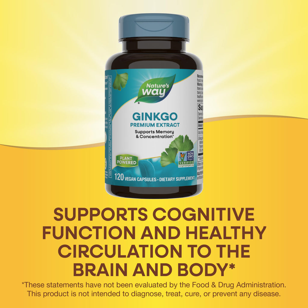 ginkgo biloba extract for brain function